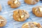 Applejack Cookies - The Great Food Blogger Cookie Swap 2013! - 2teaspoons